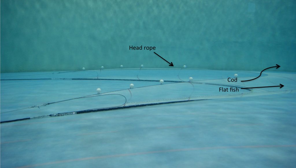 » Commercial Fisheries News