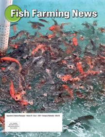 Fish Farming News » The business newspaper for the Aquaculture Industry